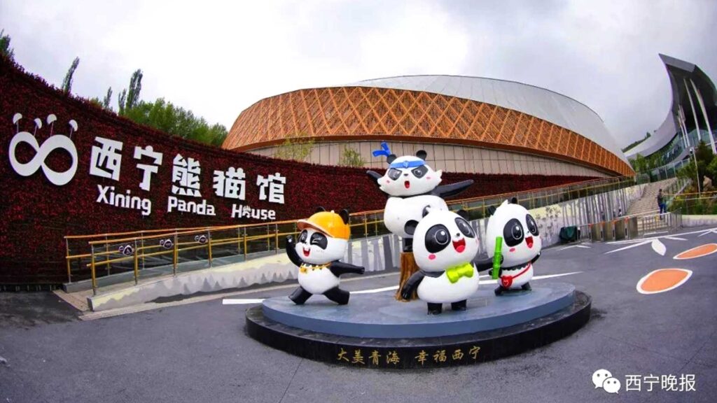 Xining Panda House | CraveFX